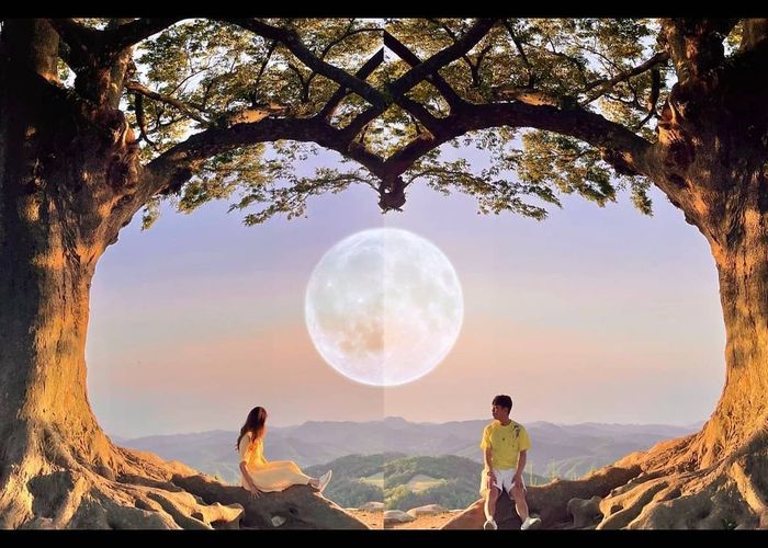 The Heart Tree Trending in Korea: Do You Know How to Capture | marry
